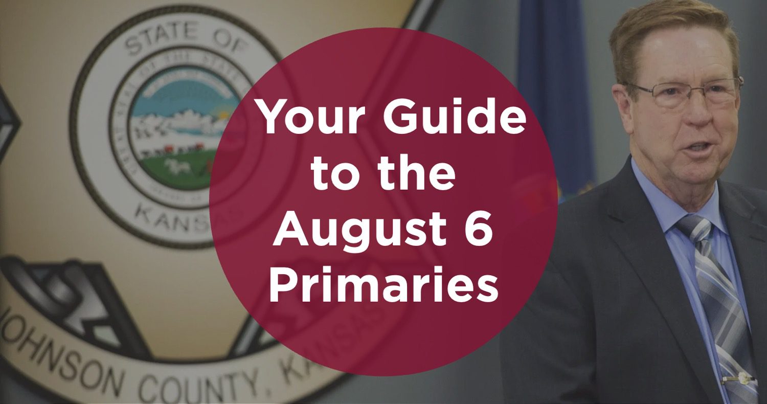 Your Guide to the August 6 Primaries | Bolts