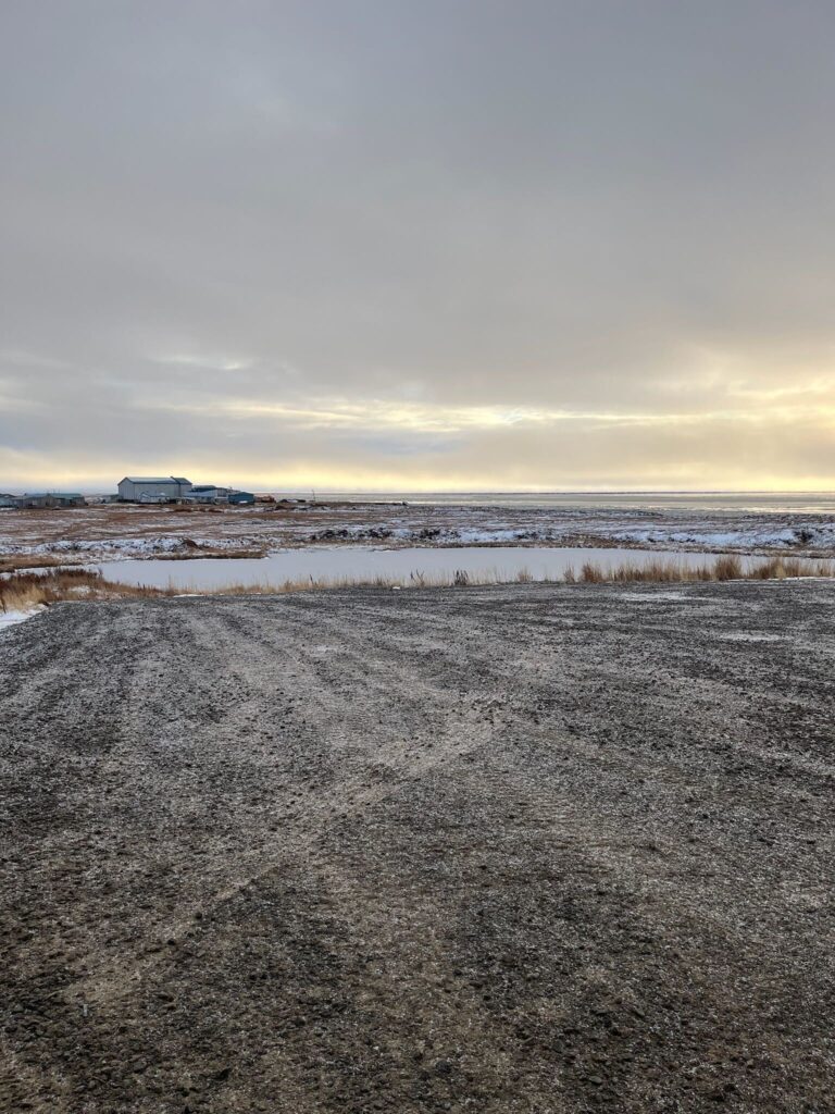 Powered by Native Voters, Ranked-Choice Voting and Open Primaries ...