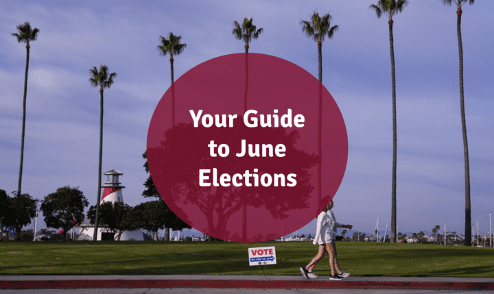 100 Elections to Watch This June | Bolts